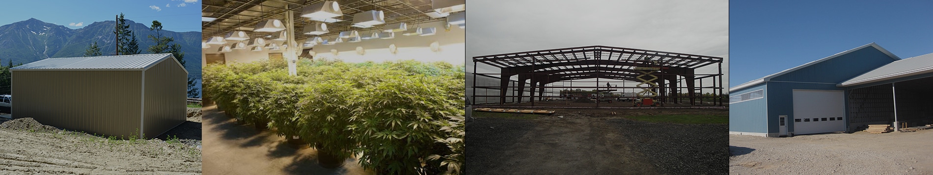 Steel Buildings for Marijuana Grow Facilities | Toro Steel Buildings